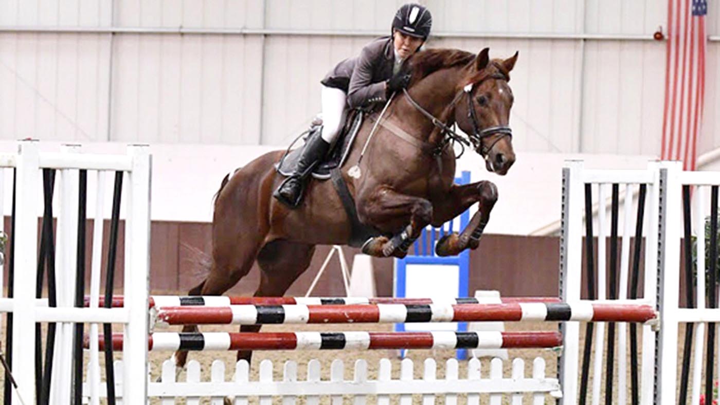 Stallions in Britain that breeders need on their radar in 2022