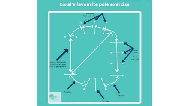 Polework exercises for horses – top riders share their favourites
