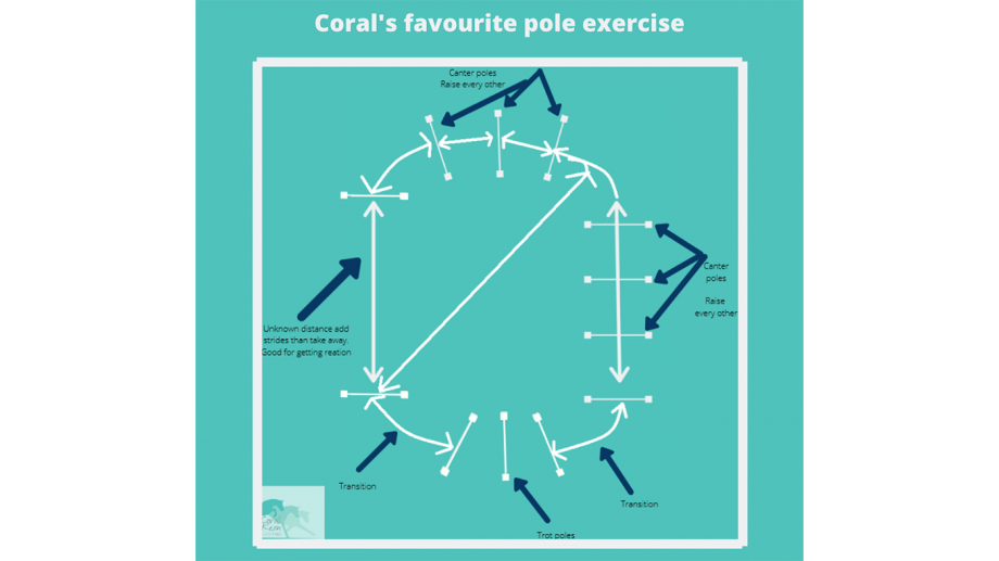 Polework exercises for horses – top riders share their favourites
