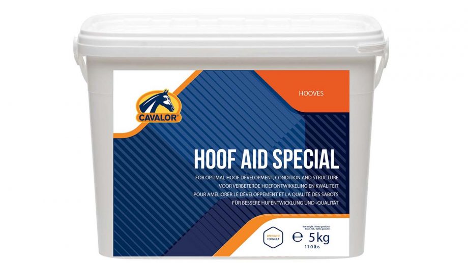 Best hoof supplements for horses: what’s on the market? | Horse & Hound