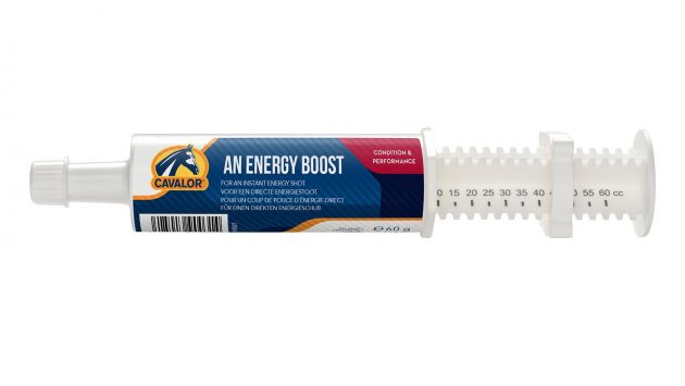 Energy supplements for horses: what’s available? | Horse & Hound