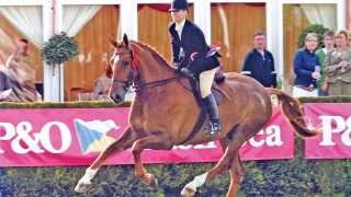 The Horse & Hound Podcast 134: National Hunt legends Lucinda Russell ...