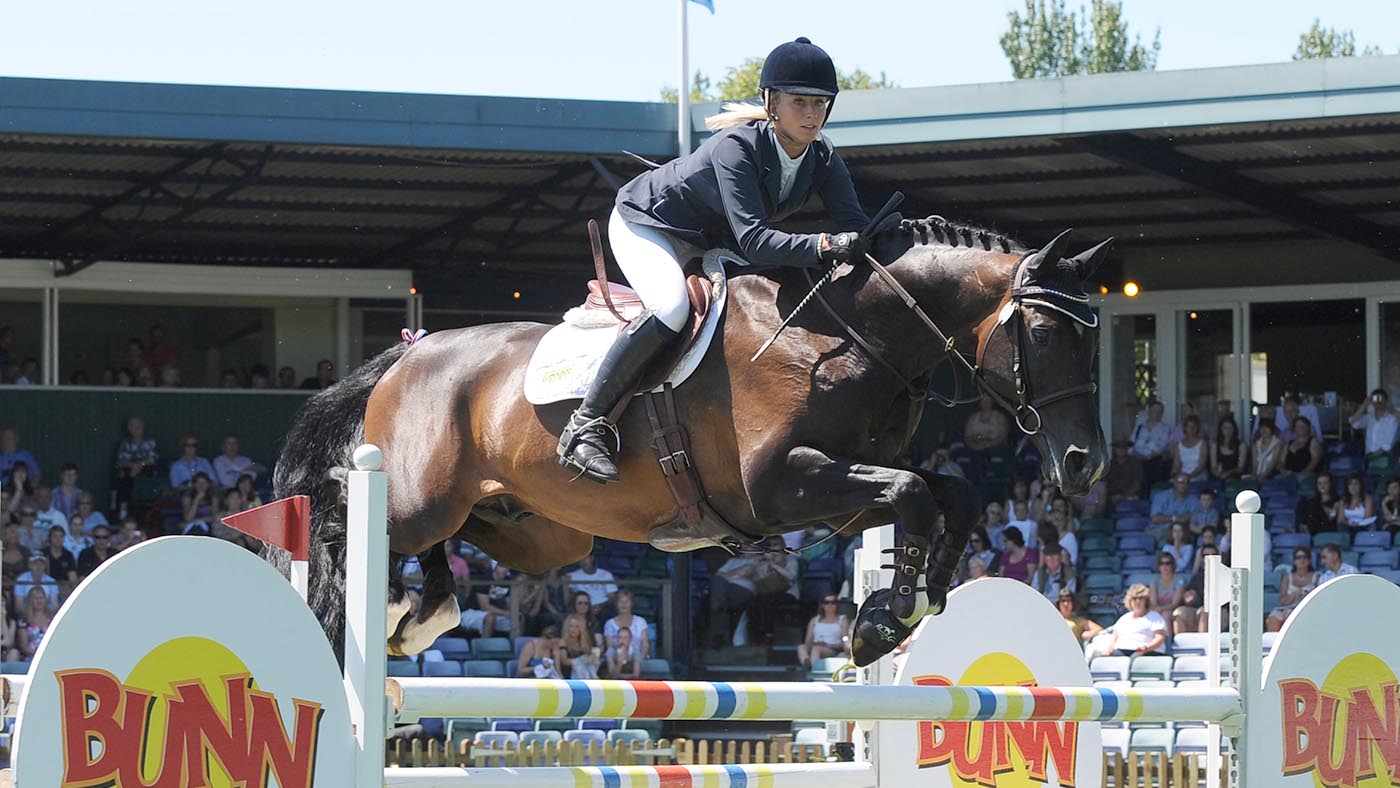 12 stallions standing in Britain that breeders need on their radar *H&H ...