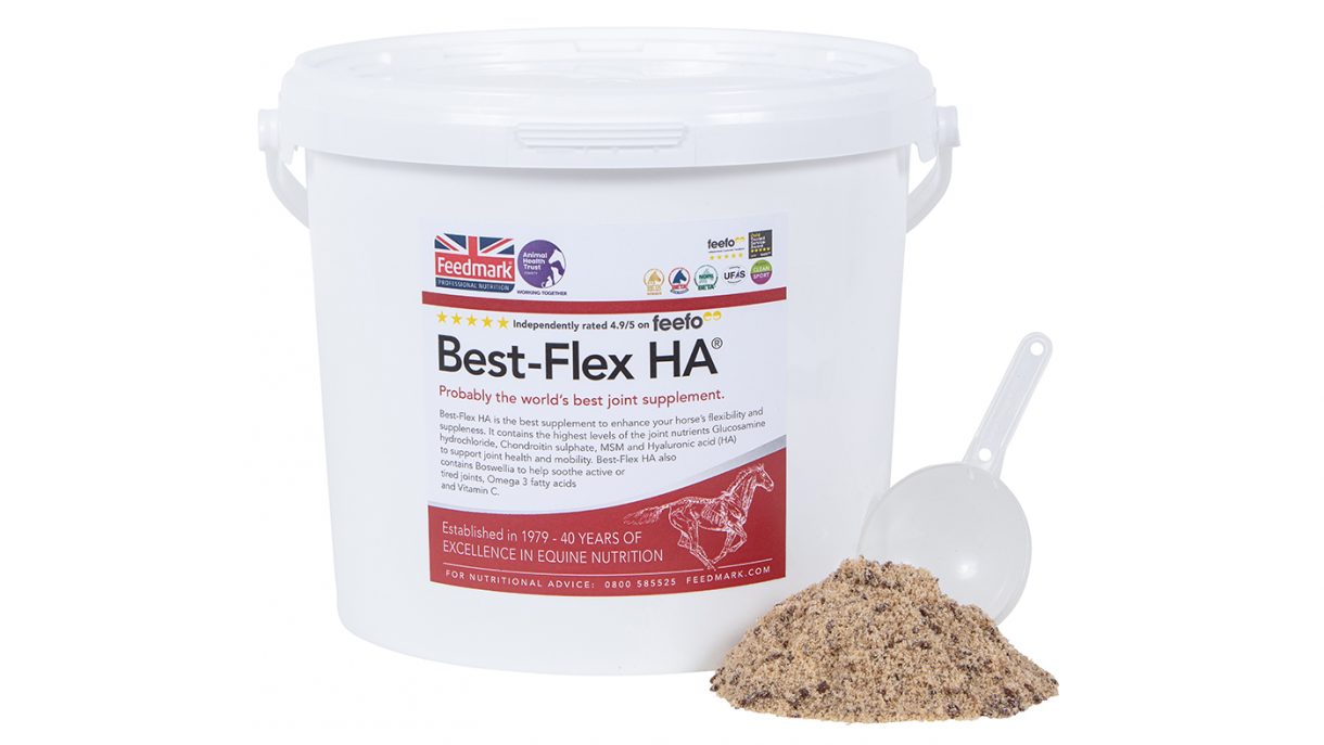 Joint supplements for horses: what’s on the market?