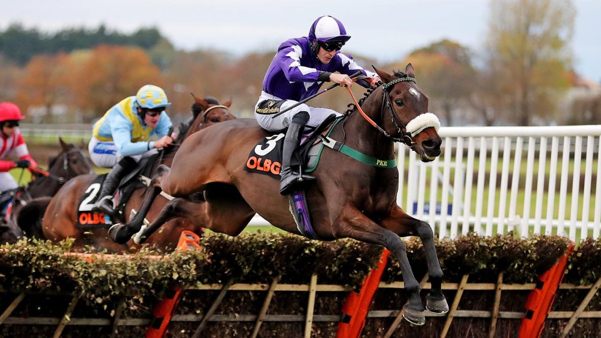 Lady Buttons: find out what this superstar racehorse is up to in retirement