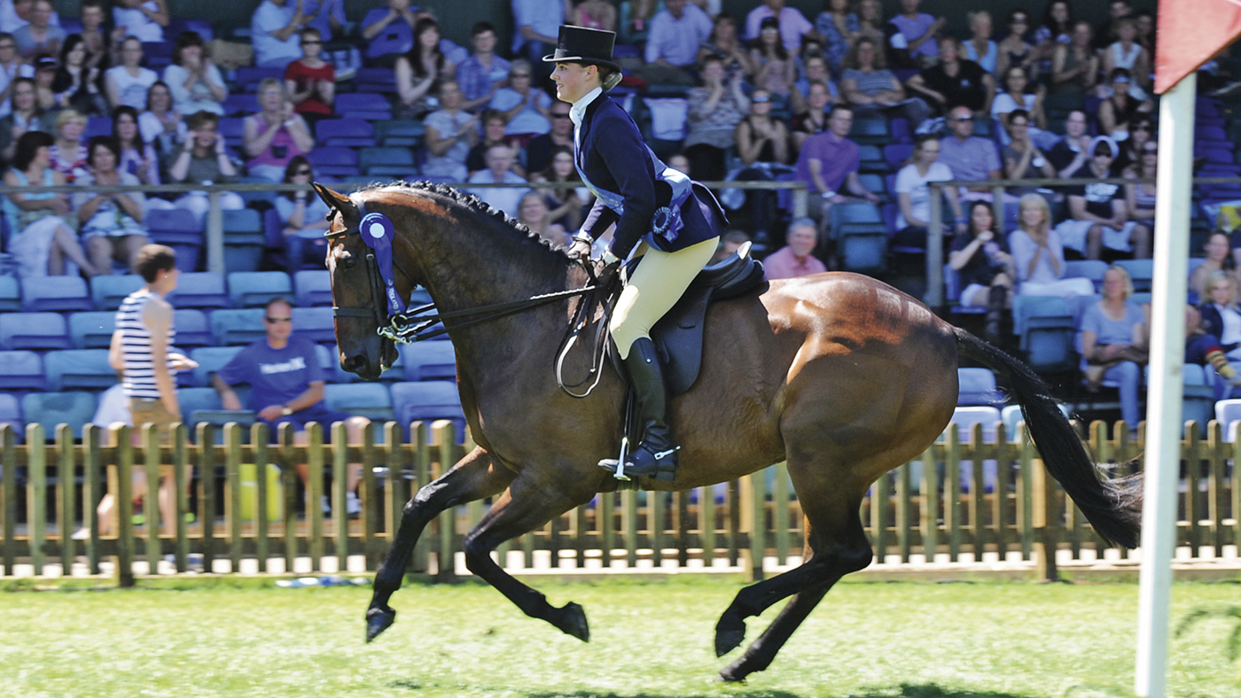‘He was exceptional’: final farewell to much-loved champion - Horse & Hound