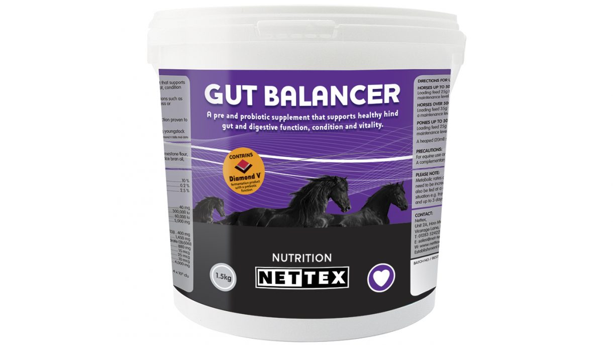 Digestive supplements for horses: what’s on the market?