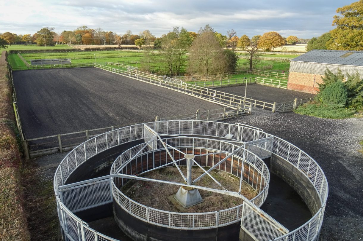 Always wanted to start your own stud? This equestrian property with 13 ...