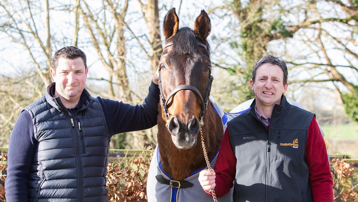 Seven special stallions and a thriving family business: inside the ...