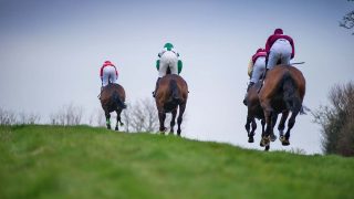Point-to-point racing: what you need to know to ensure a great day out