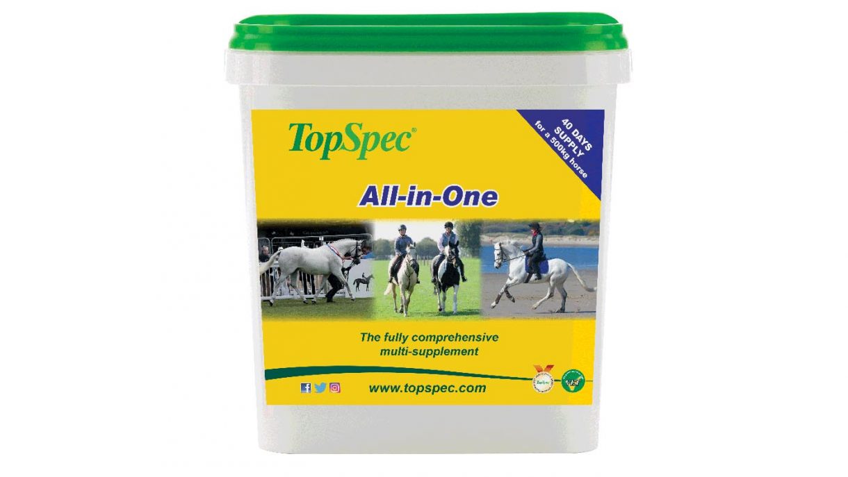 Vitamin and mineral supplements for horses | Horse & Hound