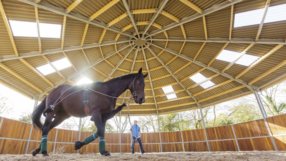 Fancy this impressive 217-acre stud farm in Newmarket with 88 stables ...