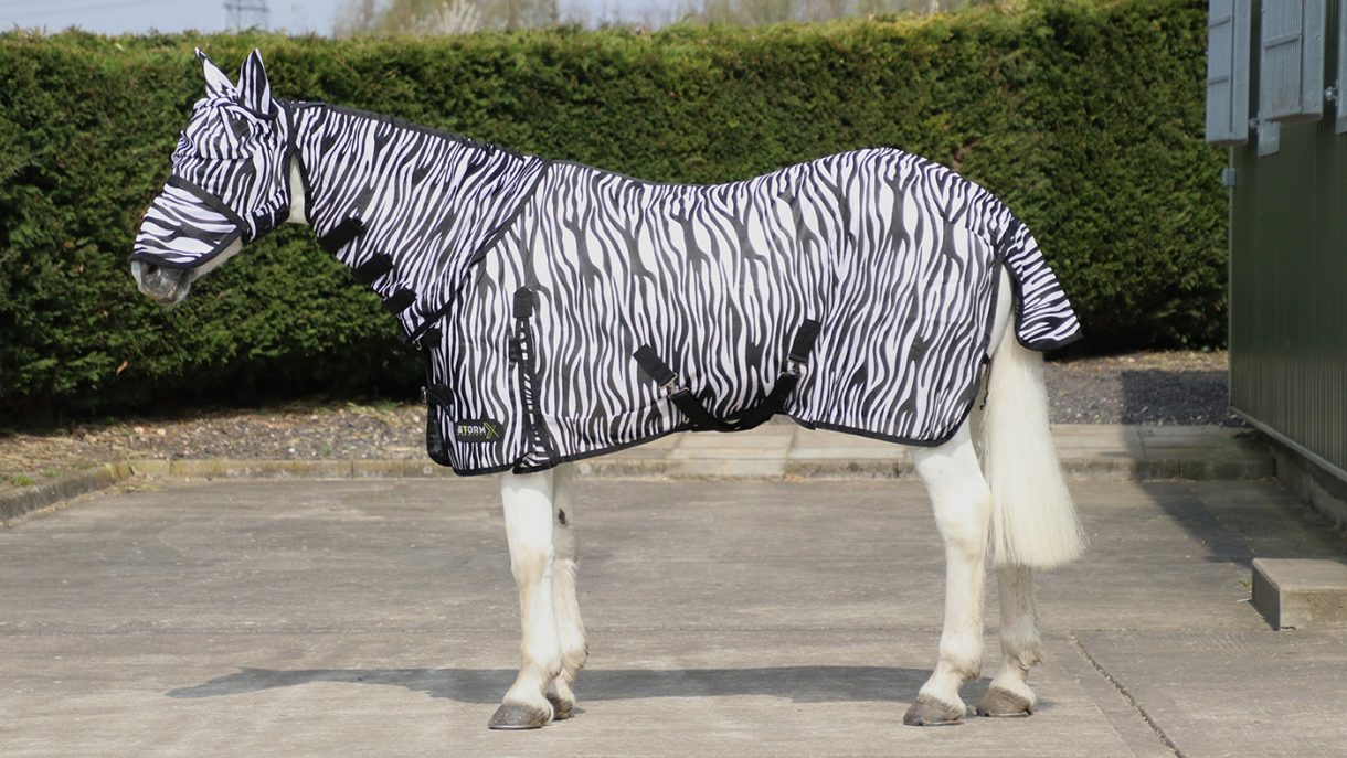 Hy Equestrian - Horse & Hound