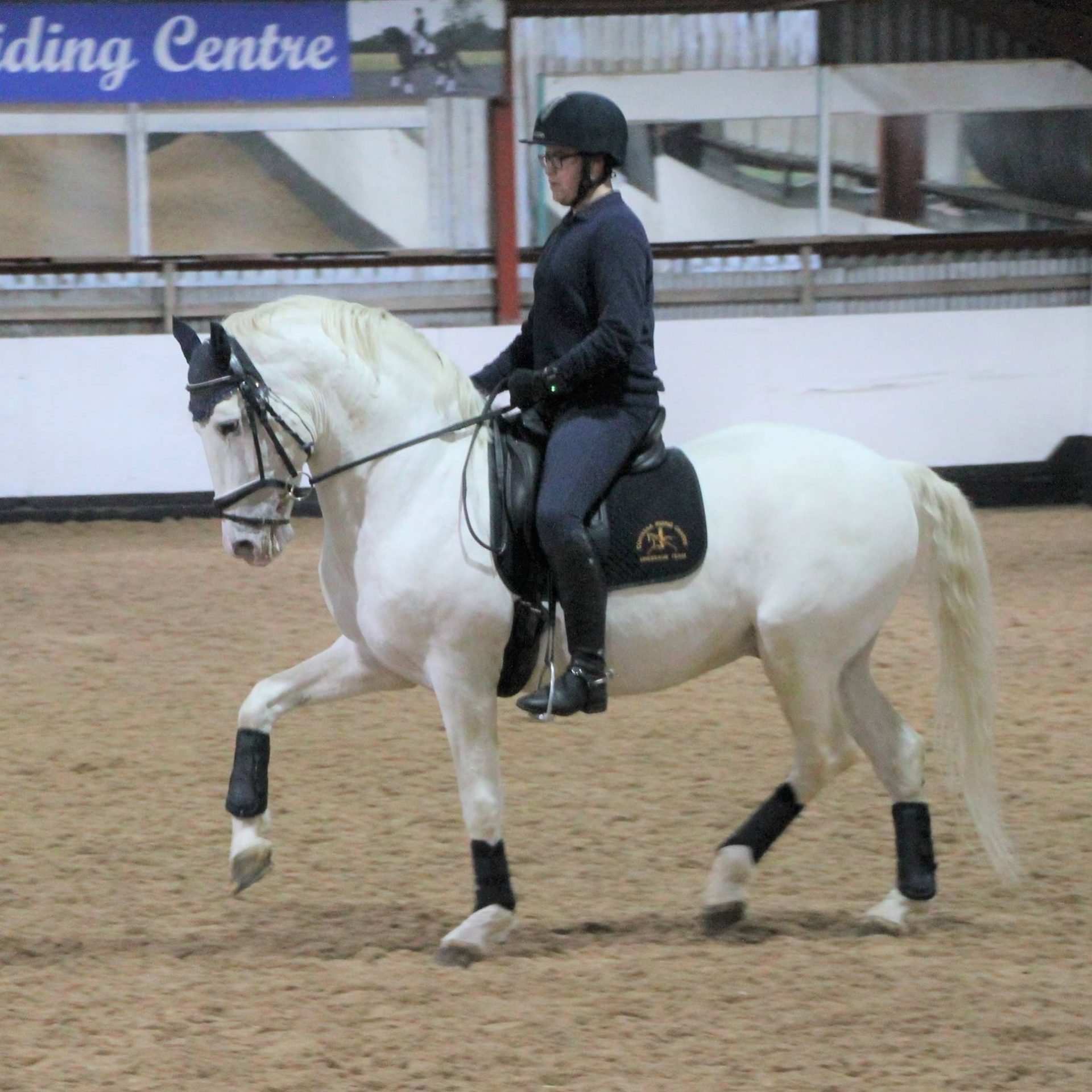 Renowned riding school scaling down after 40 years - Horse & Hound