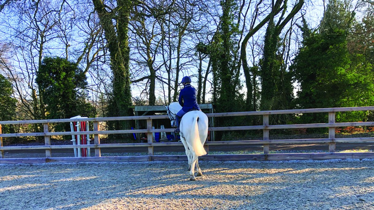 How to ride leg yield for training and dressage shows - Horse & Hound