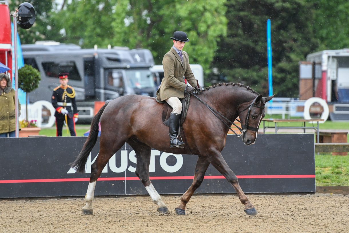 11 of our most memorable show ring moments by H&H’s showing reporters ...
