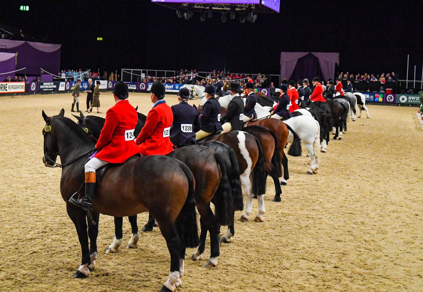 11 of our most memorable show ring moments by H&H’s showing reporters ...