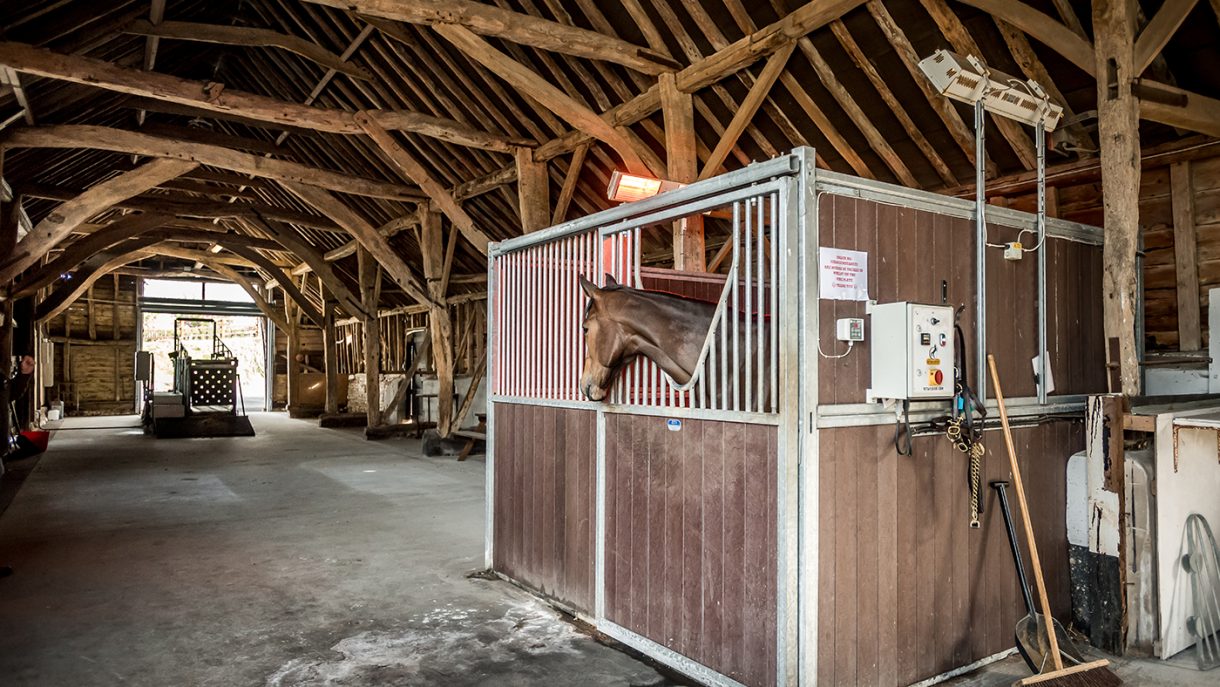 Fancy this impressive 217-acre stud farm in Newmarket with 88 stables ...