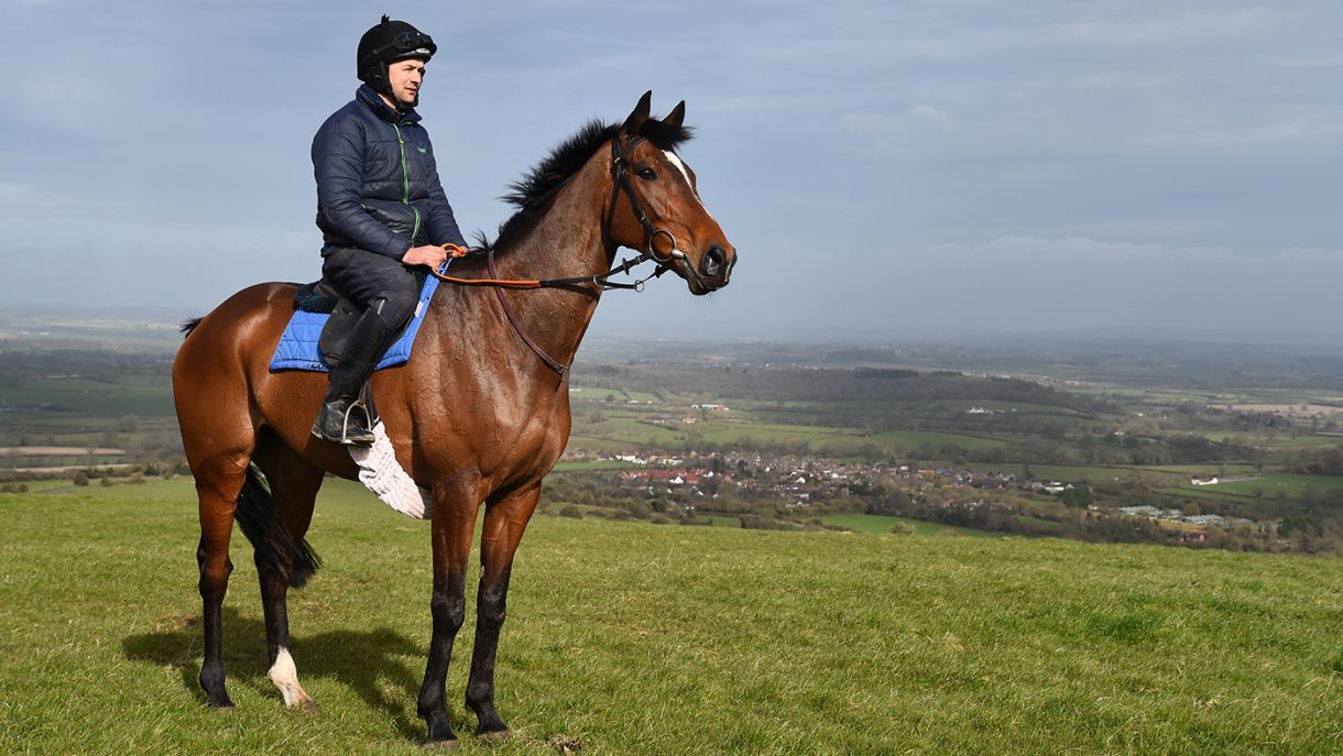 H&H interview: Racehorse trainer Robert Walford *H&H Plus* - Horse & Hound