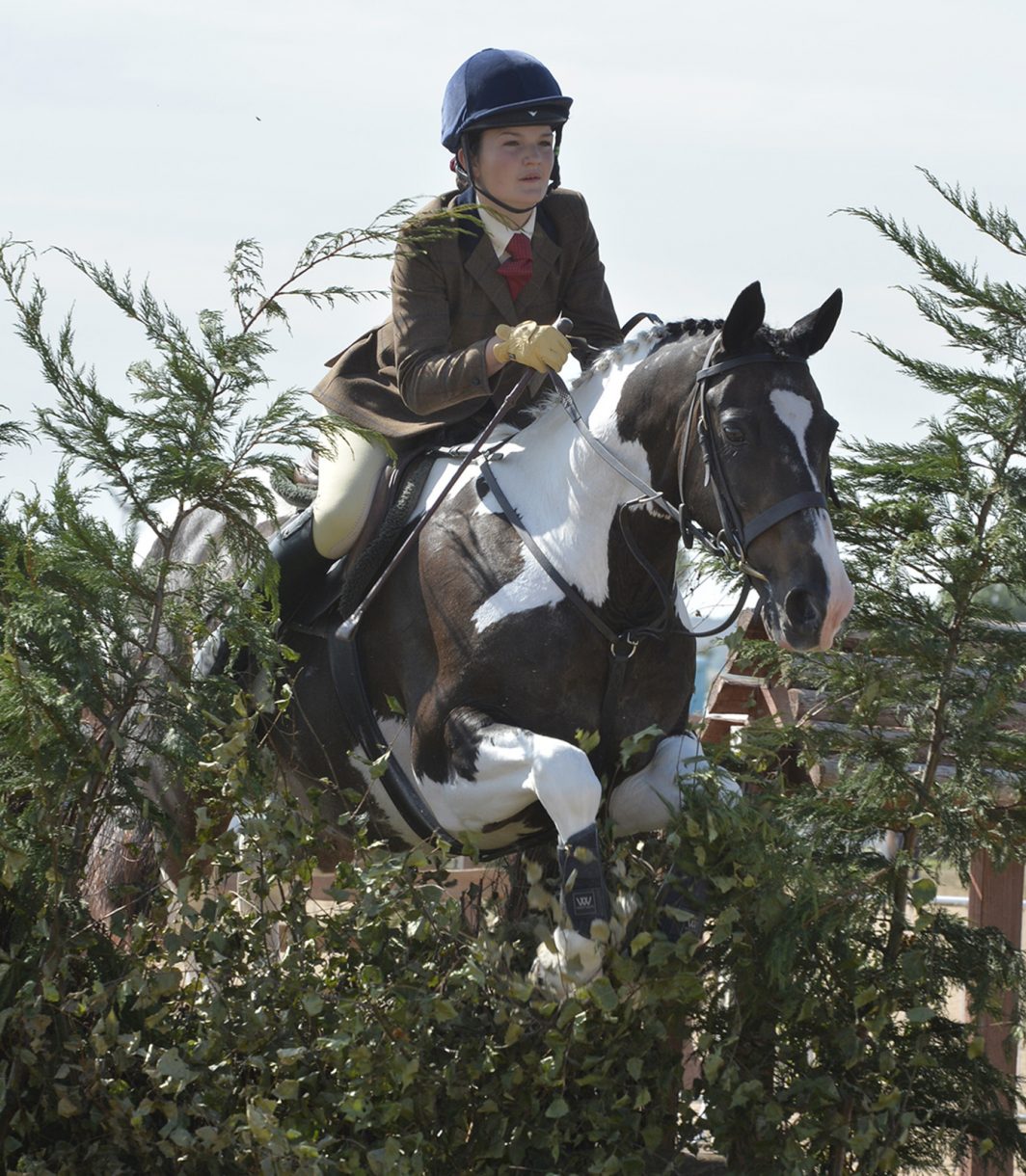 Working hunter pony classes: all you need to know to win | Horse & Hound