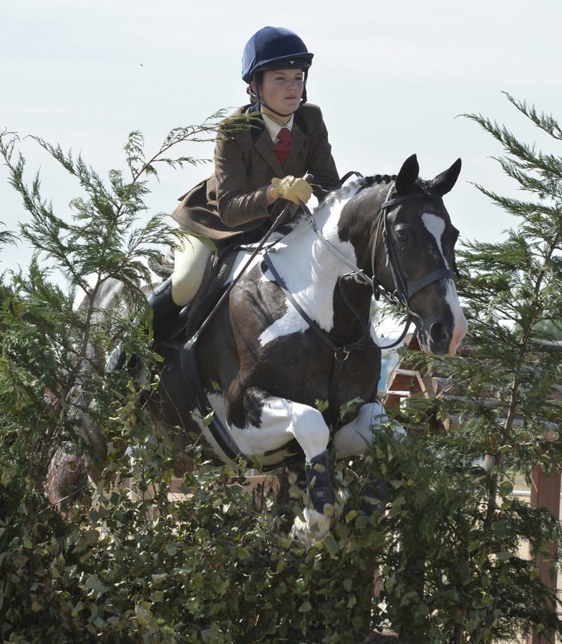 Working hunter pony classes: all you need to know to win | Horse & Hound