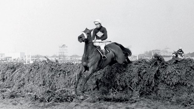 Famous racehorses: 15 of the best of all time | Horse & Hound