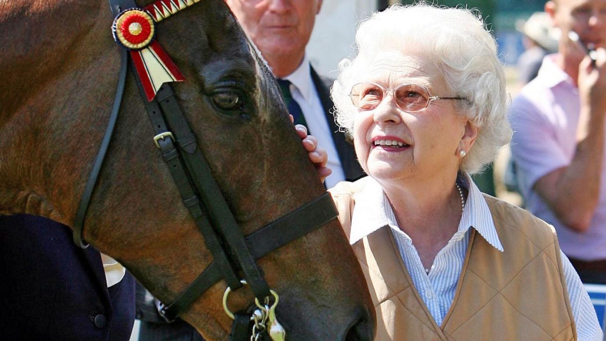 Julie Templeton: ‘Come over from the dark side’ *H&H Plus* - Horse & Hound