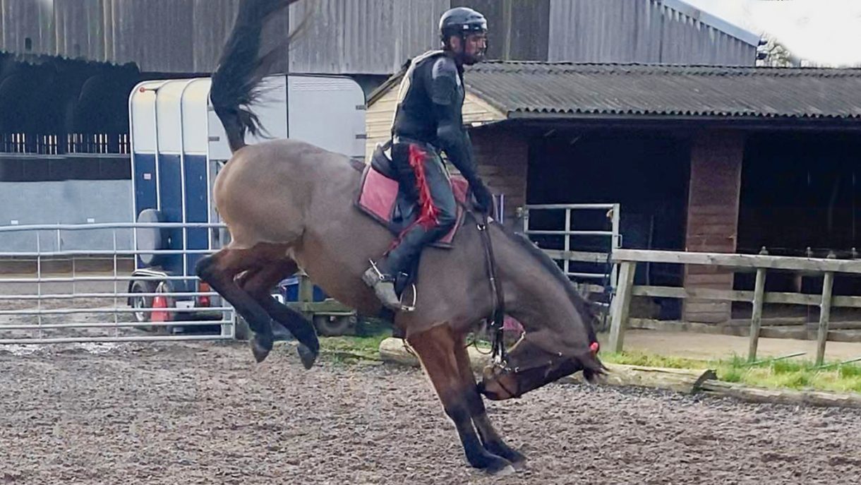 Horses that rear when ridden: causes and solutions *H&H Plus* - Horse ...