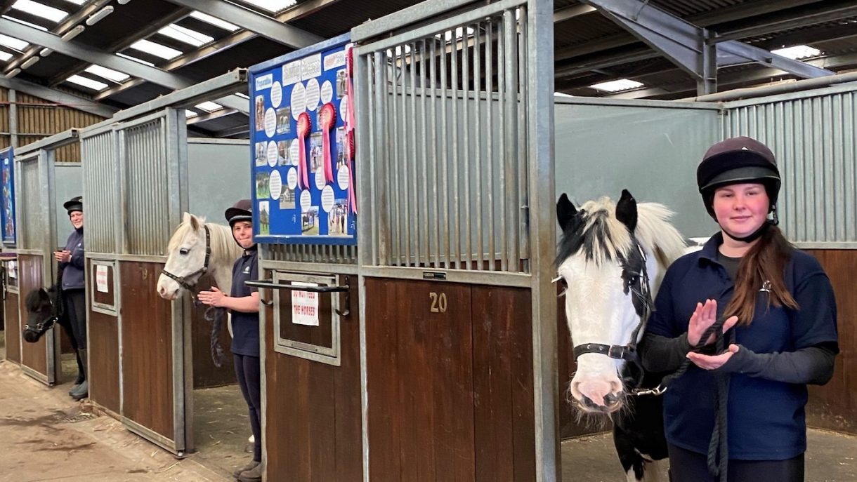 Signs of hope for equine welfare charities - Horse & Hound
