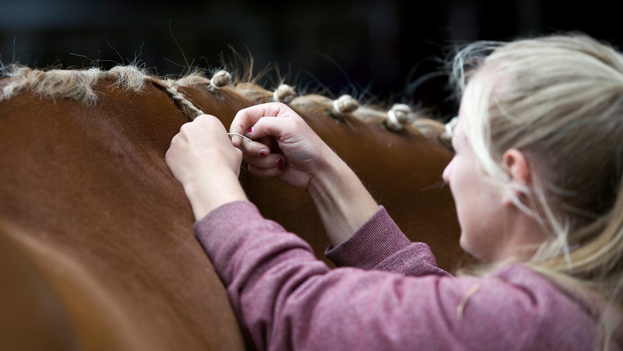 Relatable Ronnie — the fun game of plaiting - Horse & Hound