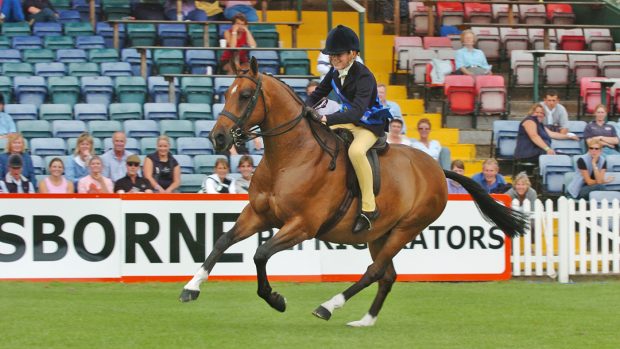 What makes a winning show hunter pony? Top judges explain... *H&H Plus ...