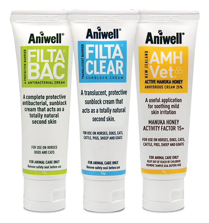 Aniwell - Horse & Hound