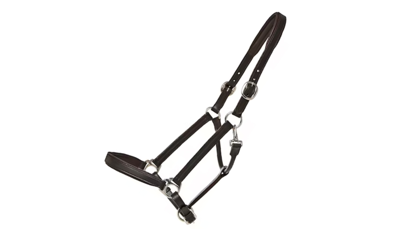 Best leather headcollars for horses | Horse & Hound