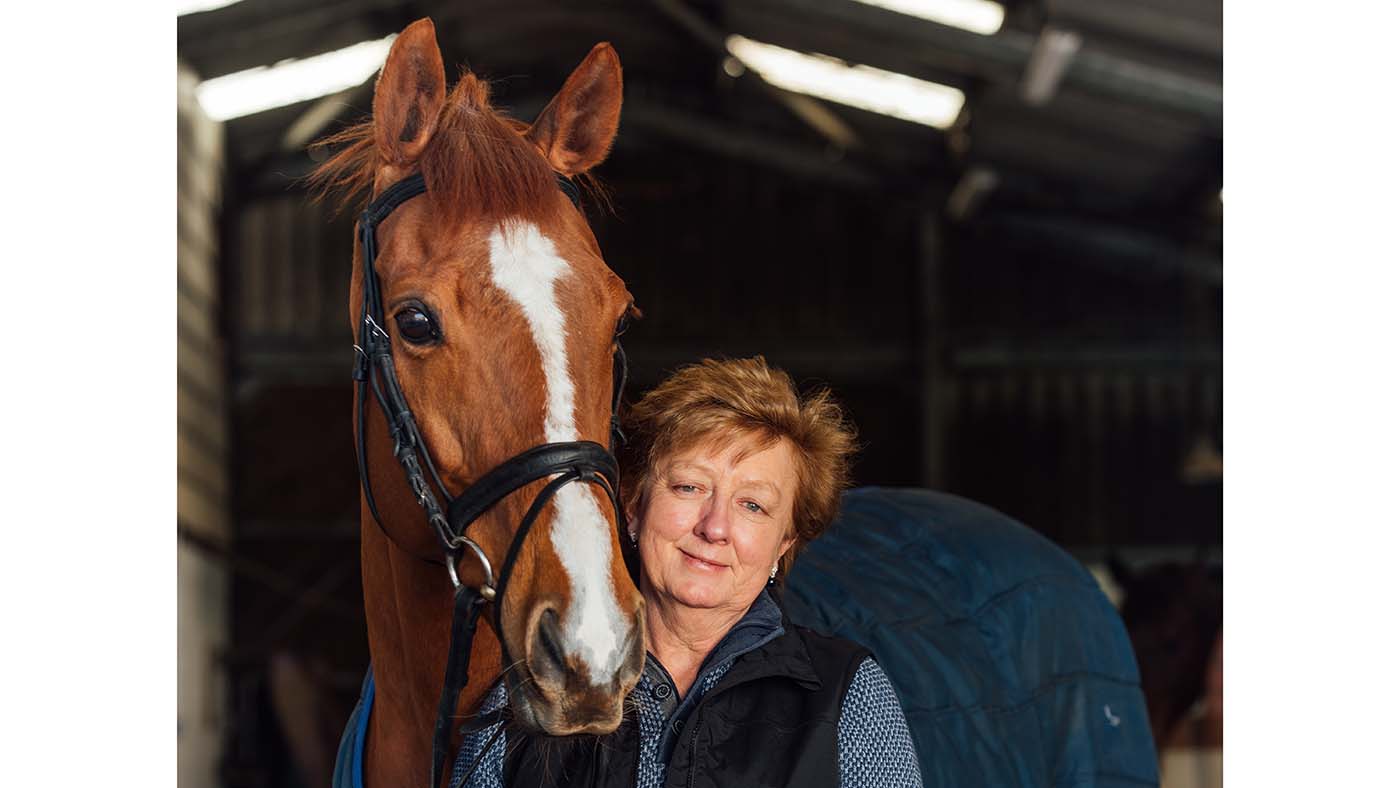 All in a day’s work: The equine rehabilitation chief *H&H Plus* - Horse ...