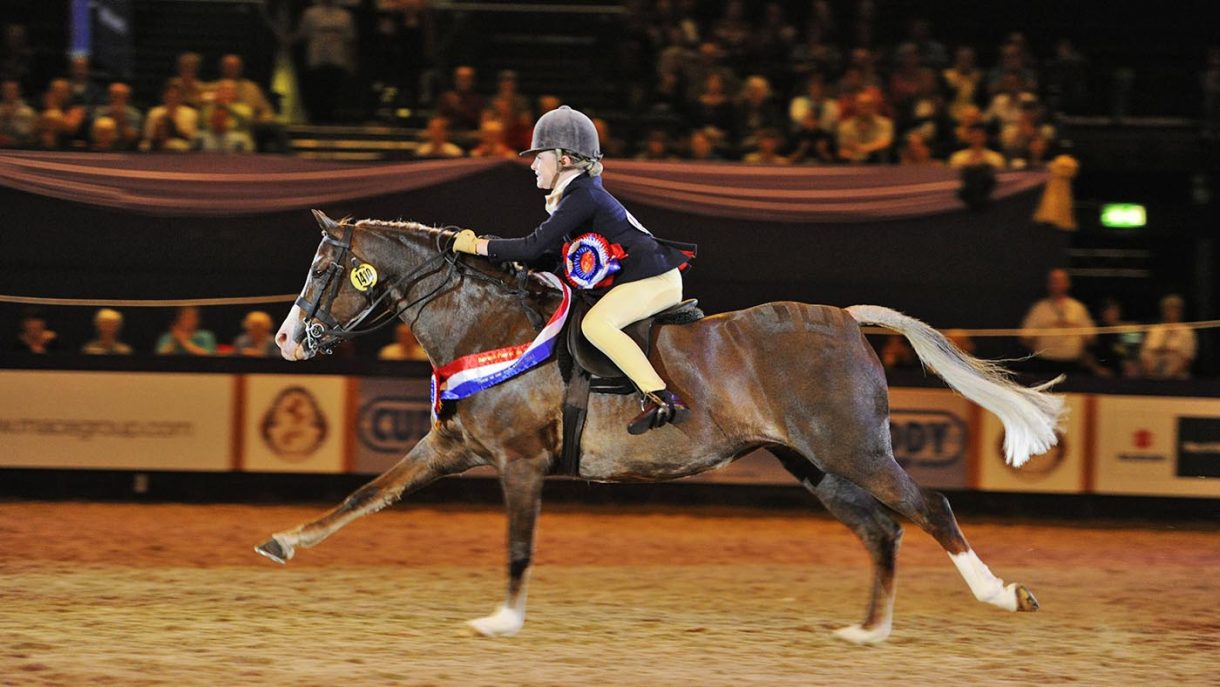 HOYS supreme pony: celebrating ponies of the year from 2003-2025