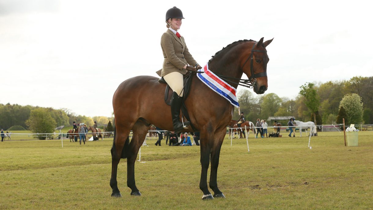 What makes a winning show hunter pony? Top judges explain... *H&H Plus ...