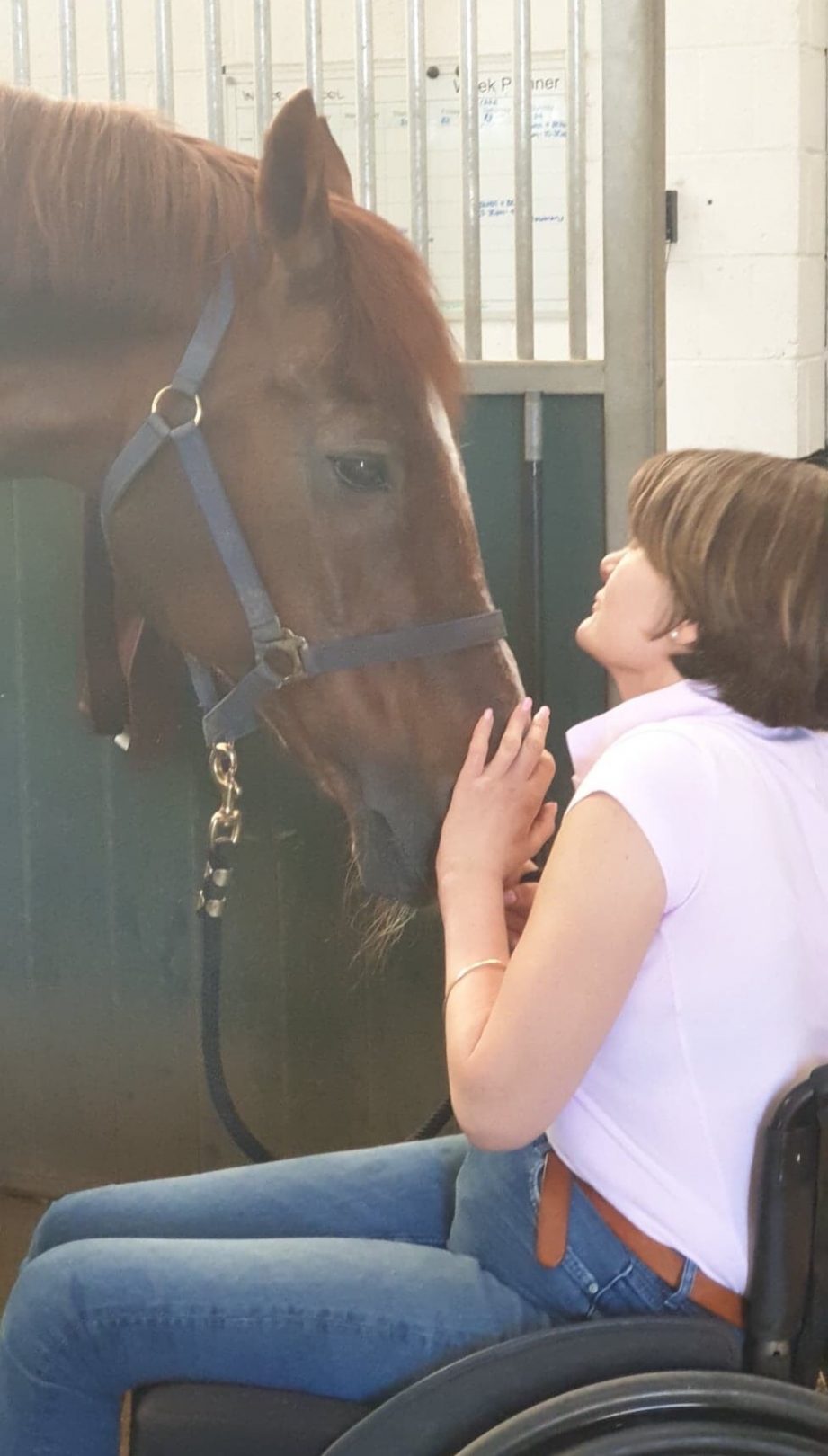 Stud owner paralysed in fall to complete wheelchair marathon in top ...