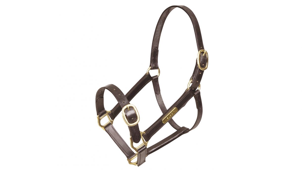Best leather headcollars for horses | Horse & Hound