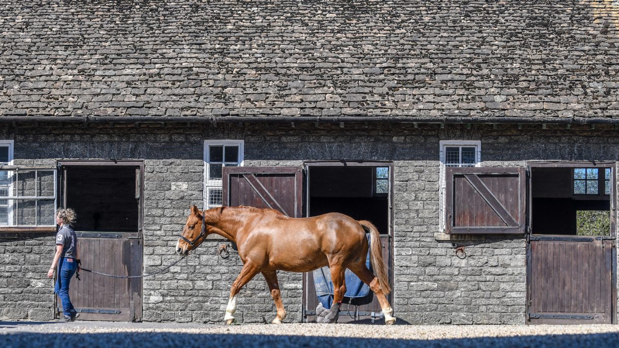 8 features you will find on (almost) every stable yard - Horse & Hound