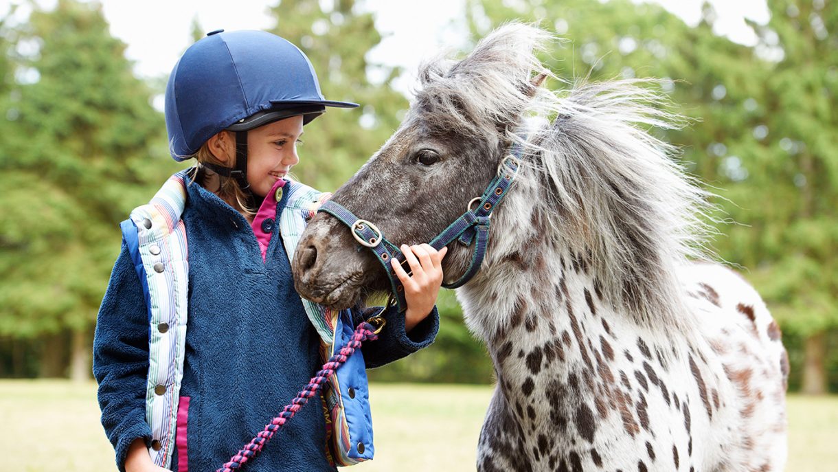 The seven stages of equestrian life - Horse & Hound