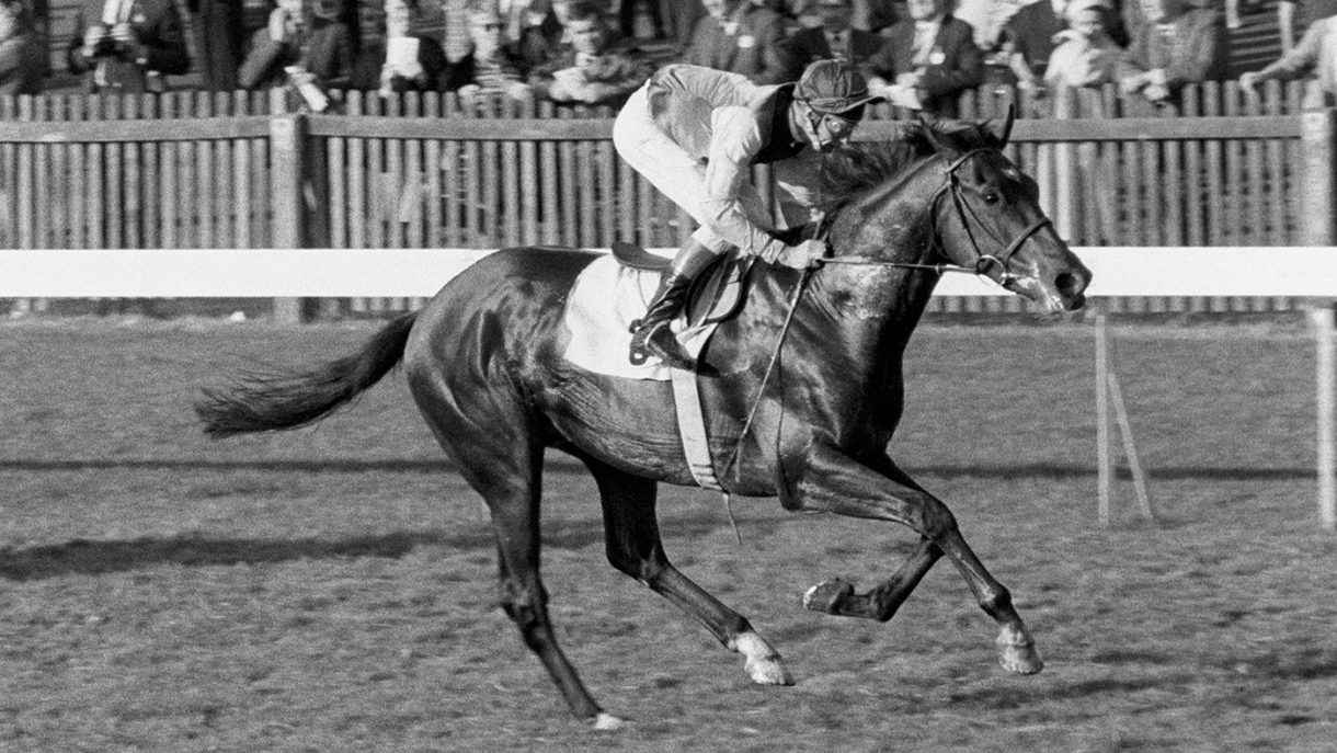 Galileo - Horse & Hound