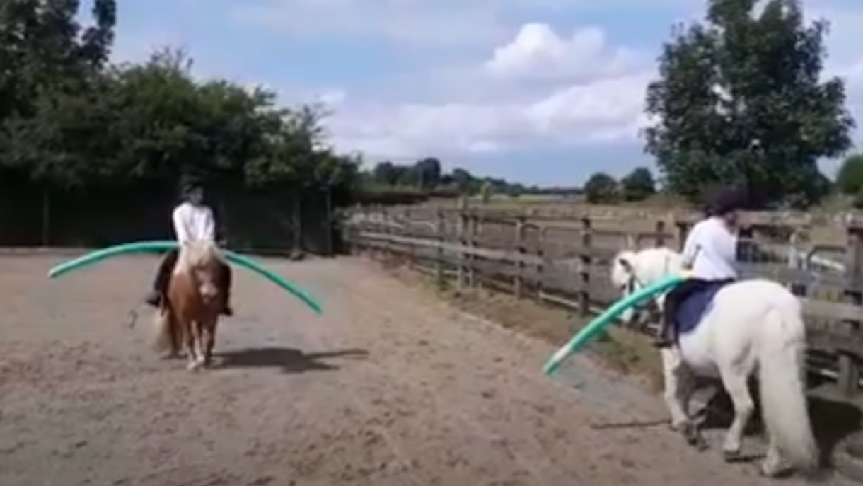 Inventive children use swimming pool noodles to allow socially distant ...