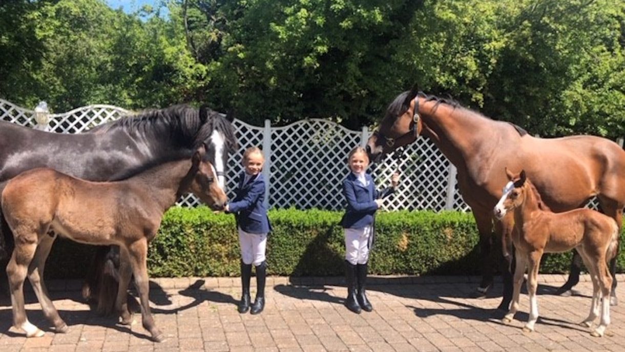 ‘I hope their dad lives on in them’: rider breeds ‘twin’ foals for her ...