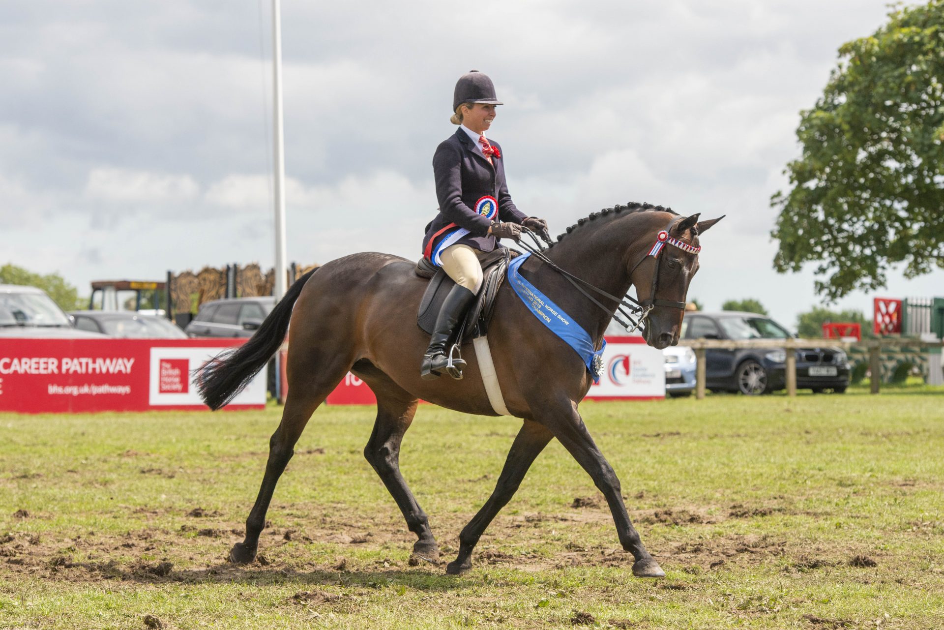 9 heavenly hacks snapped during the 2019 showing season - Horse & Hound