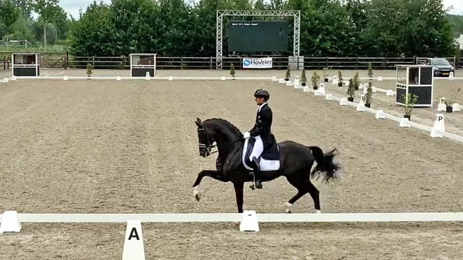 Totilas, the legendary dressage horse | Horse & Hound