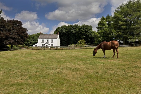 A country house complete with 37 acres, eight stables, indoor arena and ...