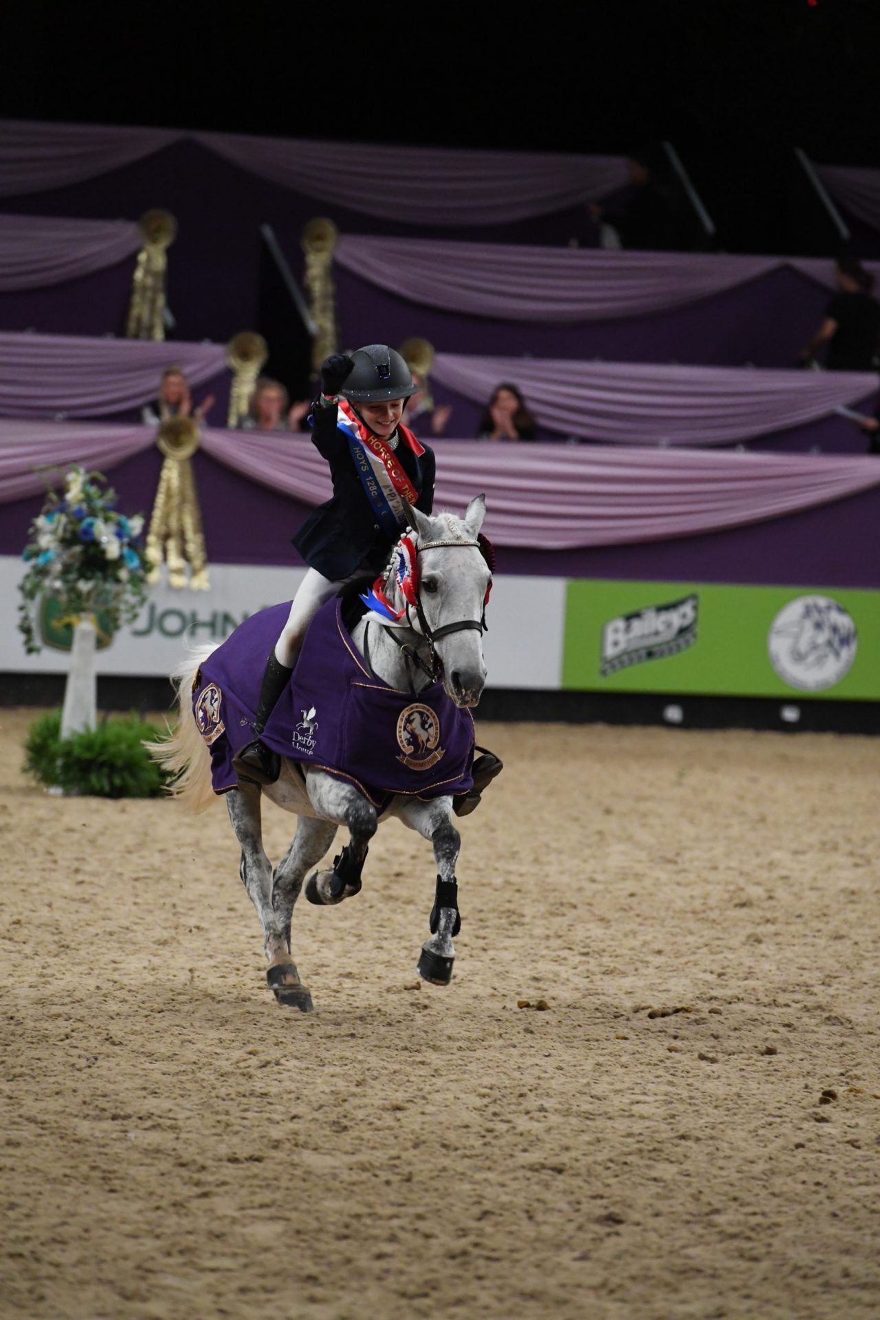 Sad about HOYS’ cancellation? Relive the famous show with these 9 ...