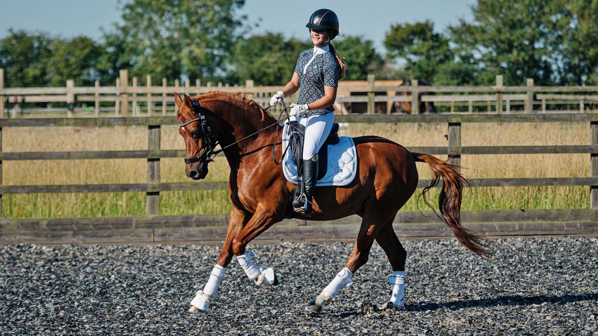 ‘We keep pinching ourselves’: top British dressage pony teams up with ...