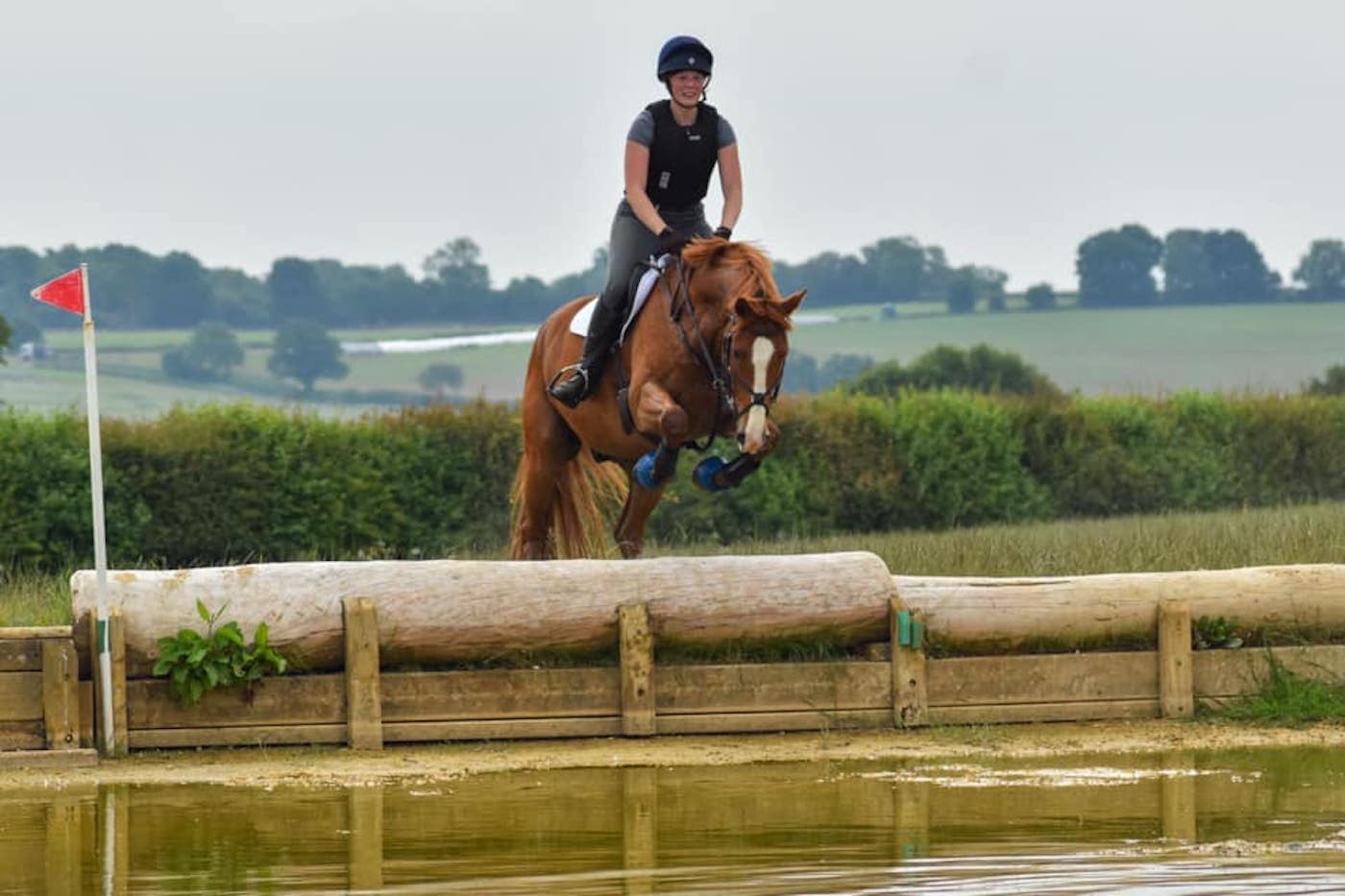 ‘Swimming pool horse’ comes back from watery escapade to top-10 event ...