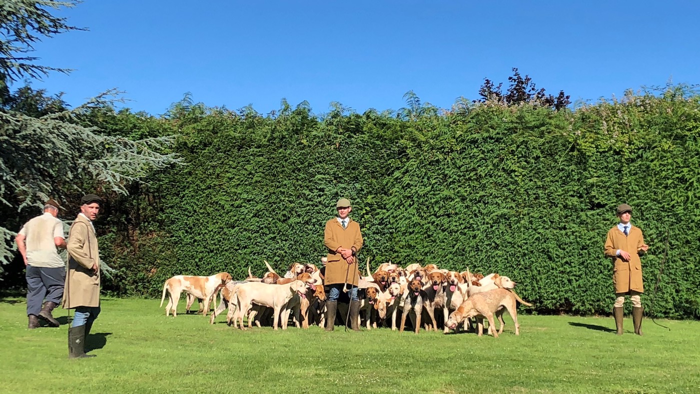 Delight as ‘banished’ hounds make welcome return to kennels - Horse & Hound